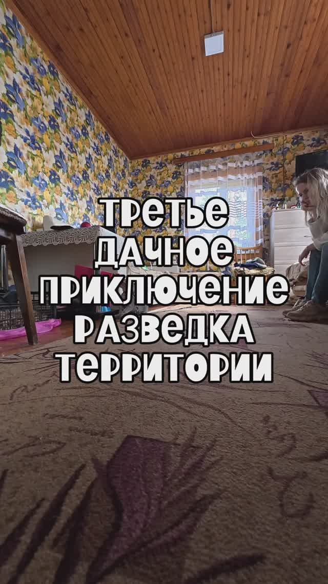 Сергей и Алиса | История двух сердец | Мисти | Третье дачное приключение