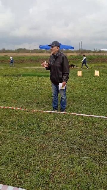 ПОДРОСТКИ СУКИ ДШ / КЧК РОСТОВ-НА-ДОНУ 19 апреля`26 В.Хижняк Моно немецких овчарок