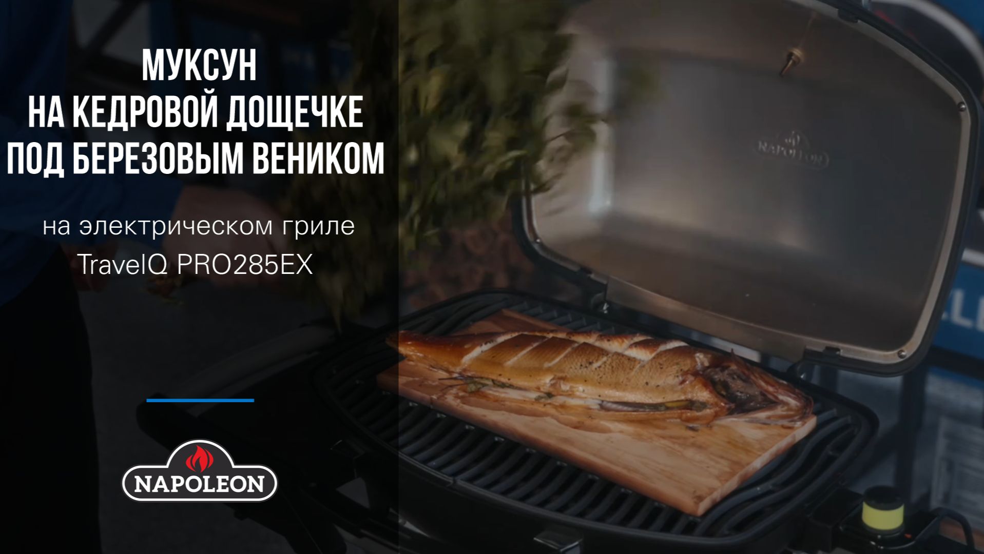 Муксун на кедровой дощечке под березовым веником на электрическом грилe Napoleon TravelQ PRO285EX
