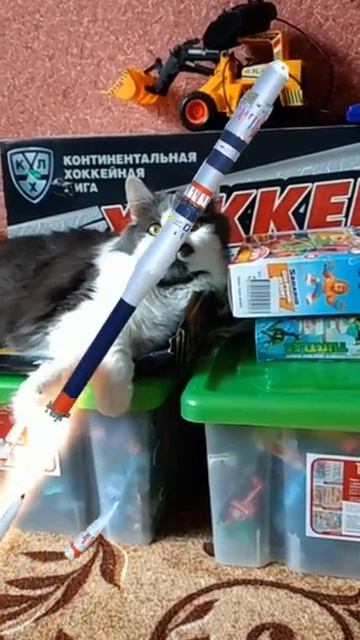 Гоша провожает Ракету#Shorts