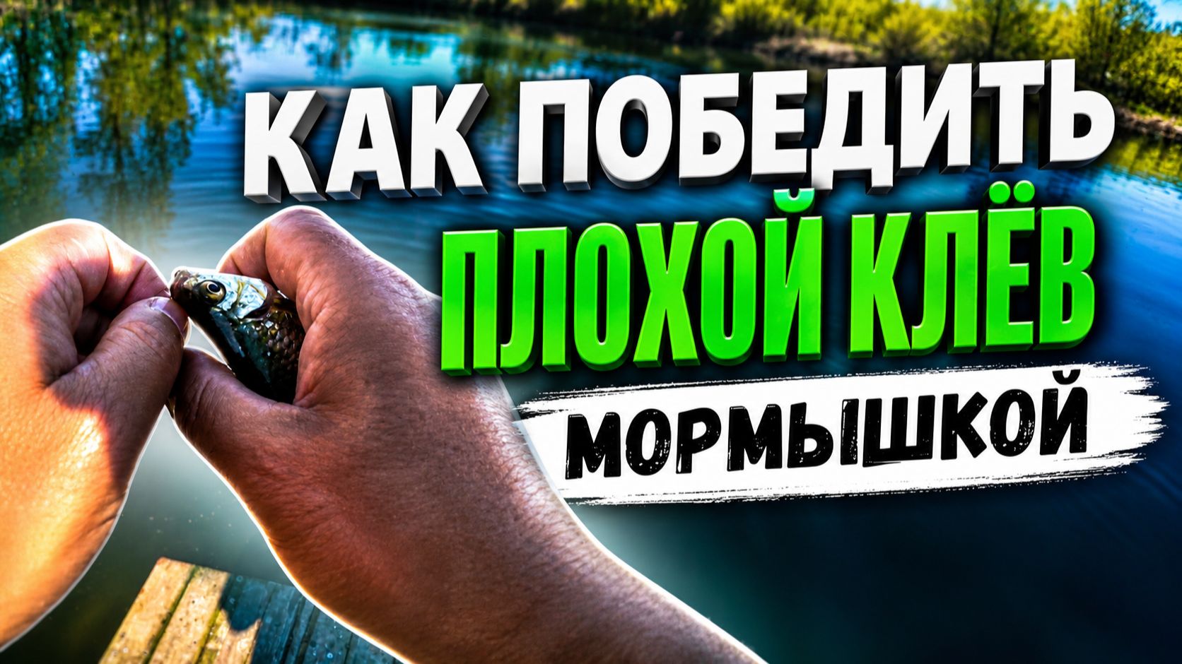 Плохой клёв? сейчас победим! карась, плотва и краснопёрка - поддаются уловкам .