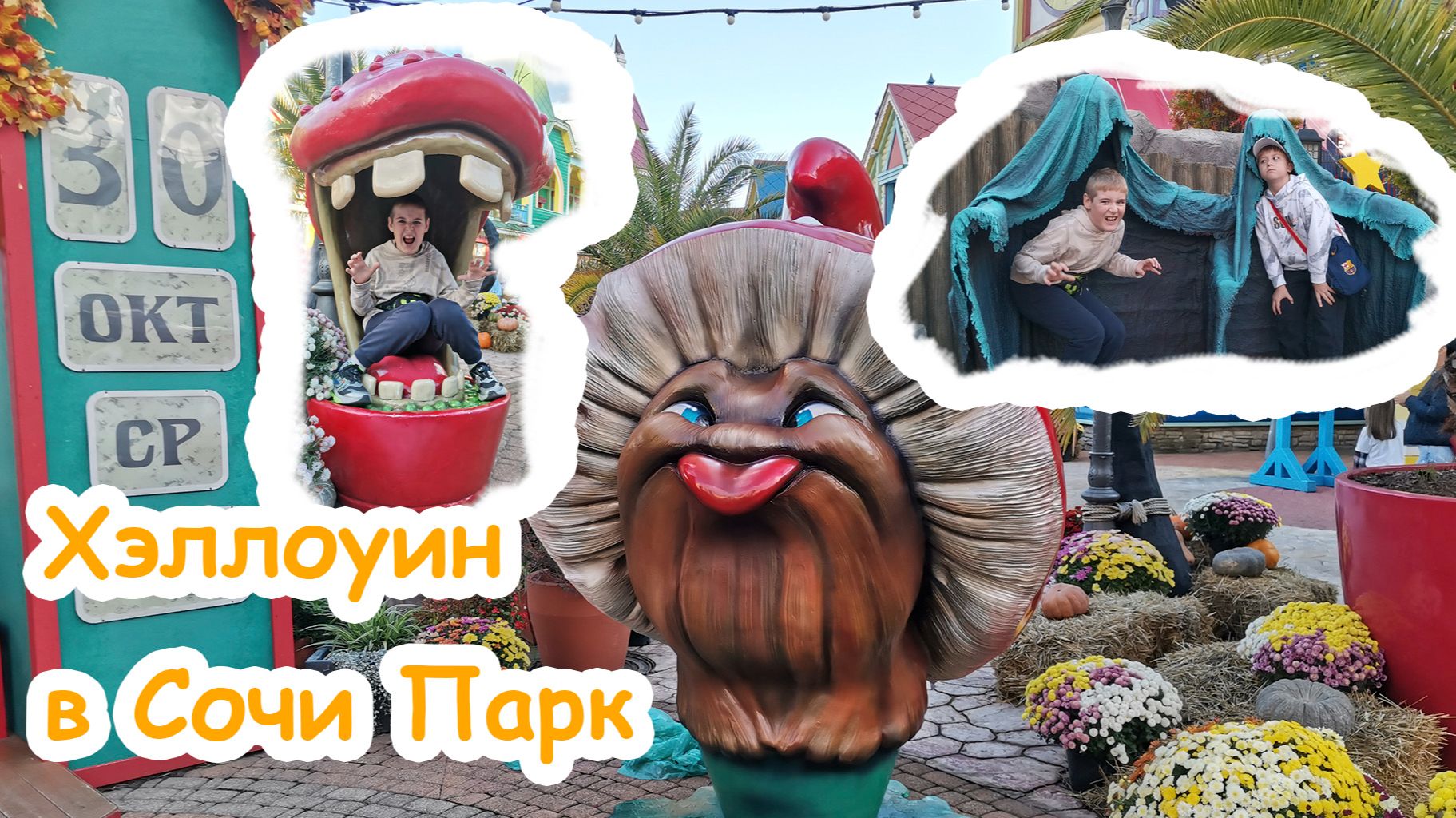 Хэллоуин в Сочи Парк