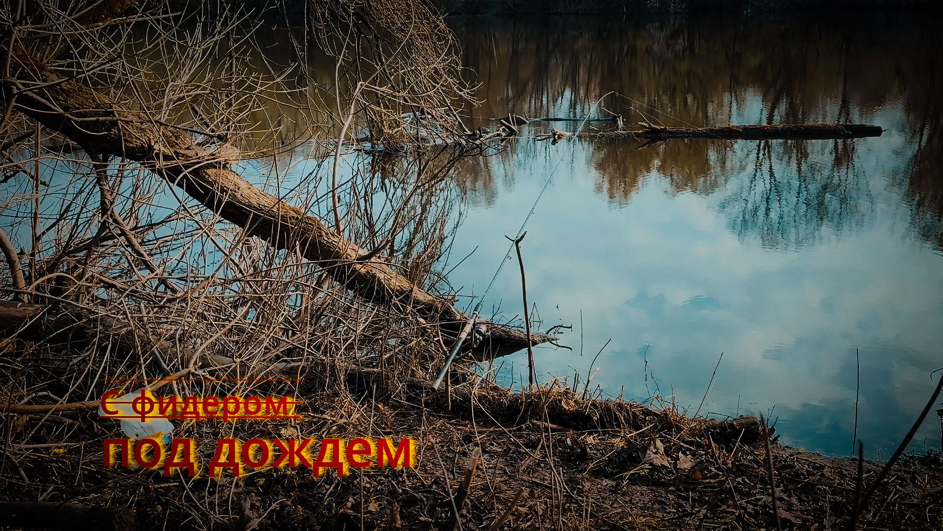 С фидером под дождем