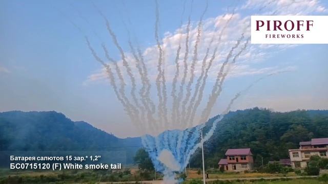Ряд веерный 15 зар.*1,2" БС0715120 8/1 (F) White smoke tail with crackling mine
