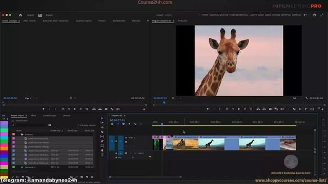 7 - Importing Different Types of Media