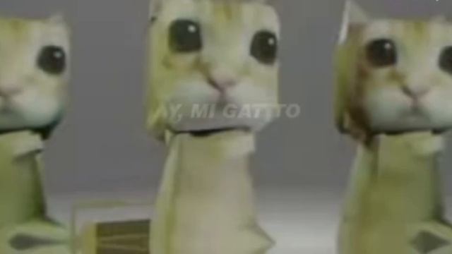 PHONK-(AY MI GATITO MIAU MIAU) КОТЫ🐱🐱🐱• ТАНЦУЮТ.