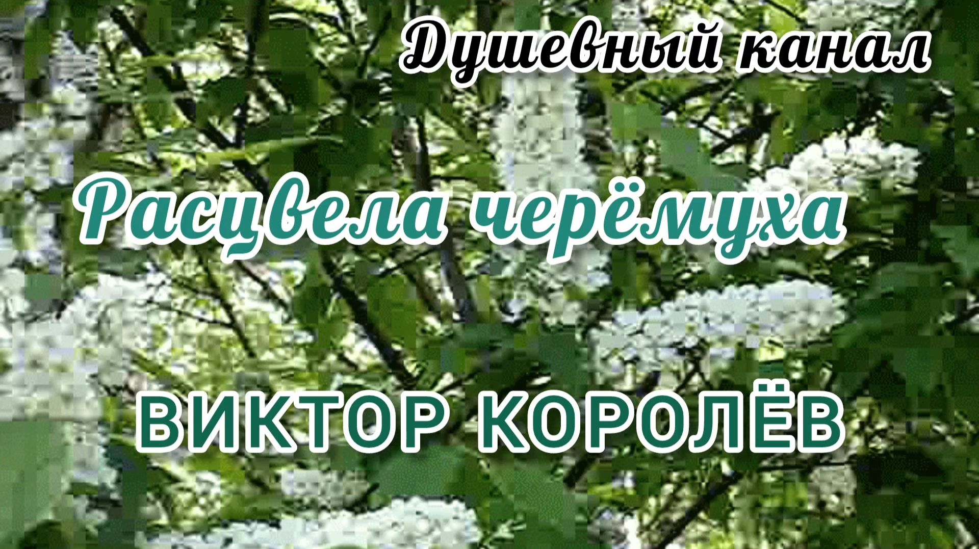 СЛОВА ЭТОЙ ПЕСНИ ВЫ БУДЕТЕ НАПЕВАТЬ ЦЕЛЫЙ ДЕНЬ!  РАСЦВЕЛА ЧЕРЁМУХА.