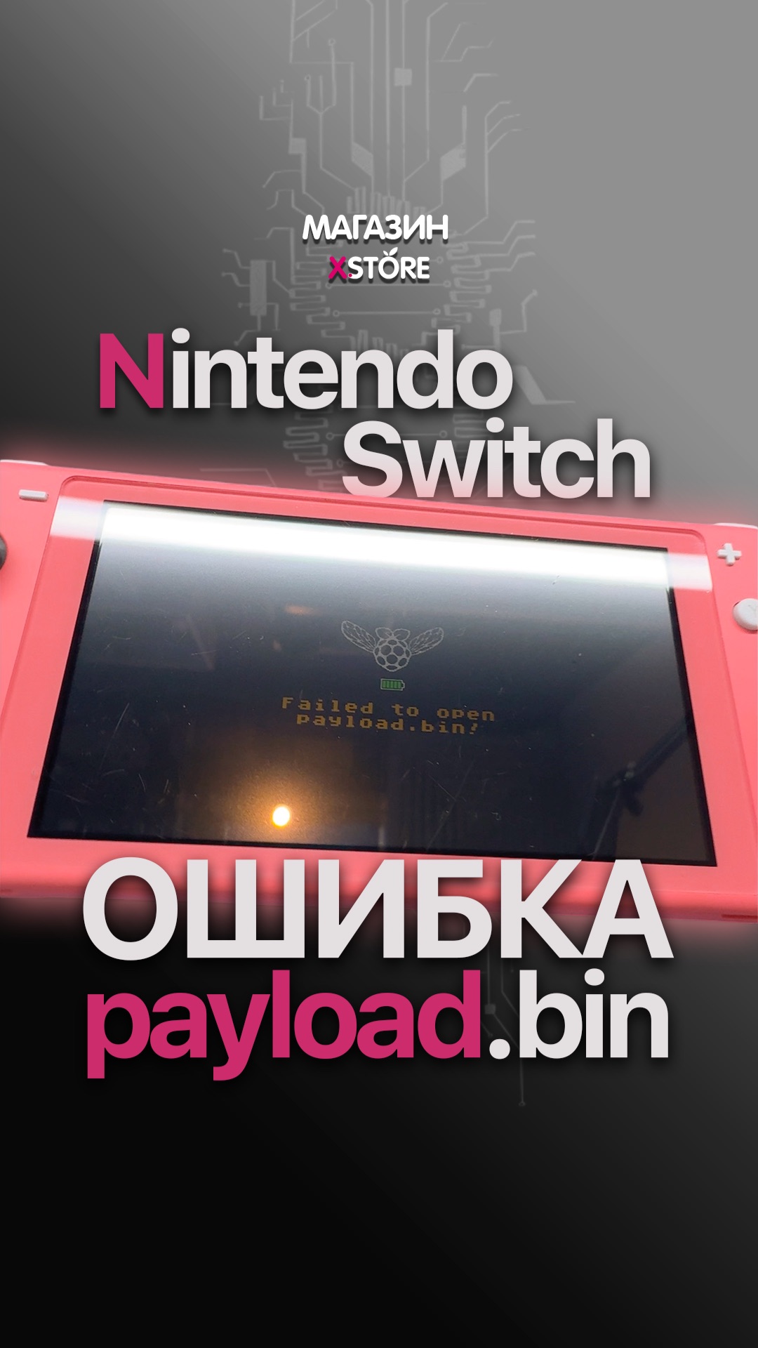 🎮 Nintendo Switch ошибка payload.bin