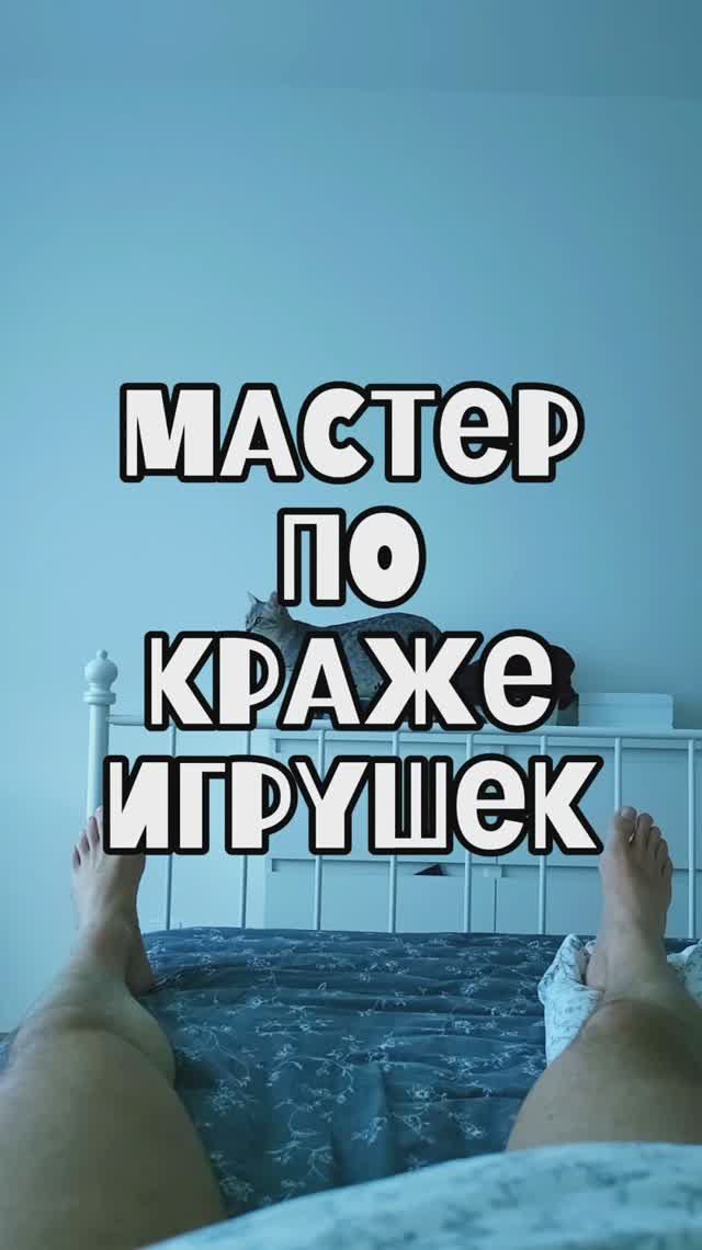 Сергей и Алиса | История двух сердец | Мисти | Мастер по краже игрушек