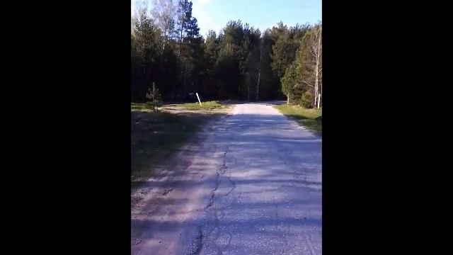 жить на берегу реки в лесу