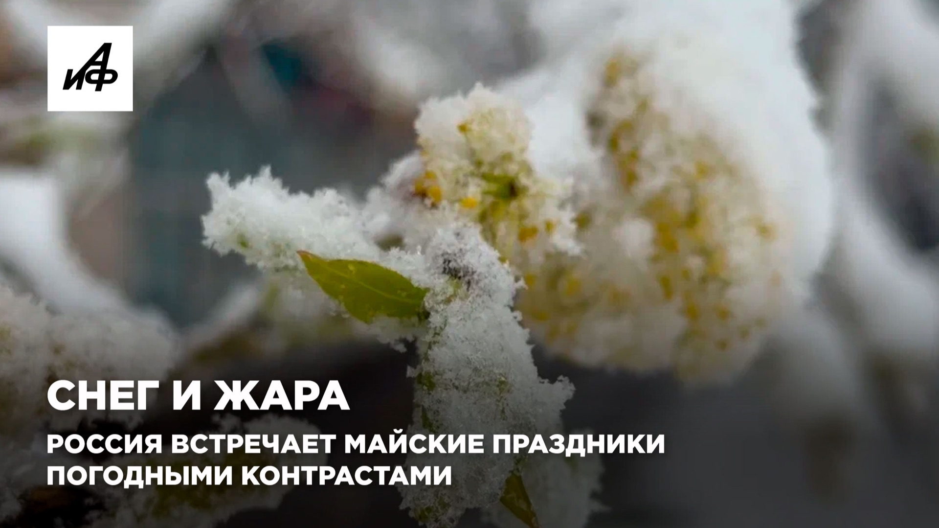 Снег и жара. Россия встречает майские праздники погодными контрастами