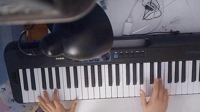 К Элизе. Видео от лица сверху