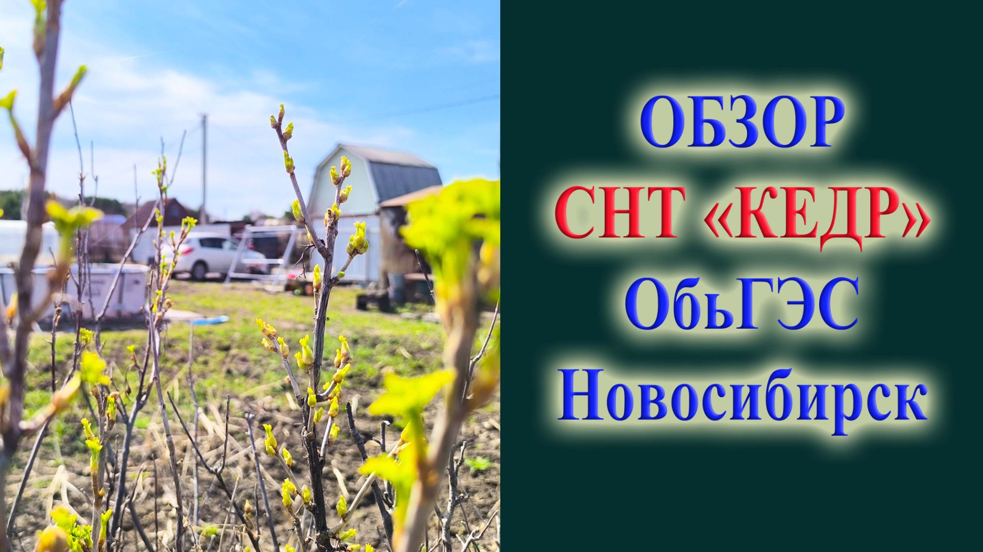 Обзор участка СНТ Кедр рядом с сосновым лесом и затоном обского водохранилища