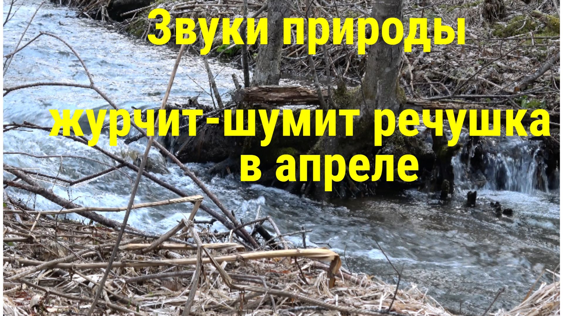 звуки природы-журчит-шумит речушка в апреле