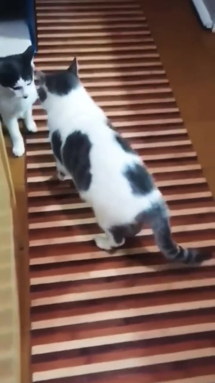 Ты нам нужен! 😻 05-05-2026