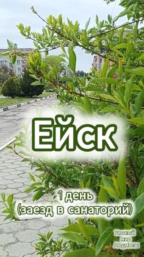 поездка в Ейск 04.05.2026