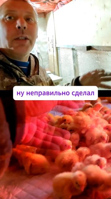 Я НЕ ОЛЕНЬ! 🦌 Ответ на критику... 🐣