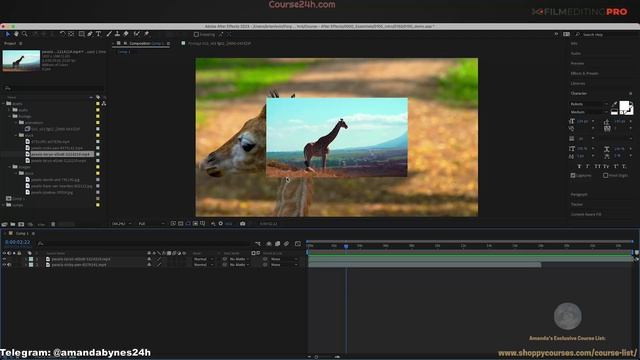 11 - Comps vs Editing Timelines
