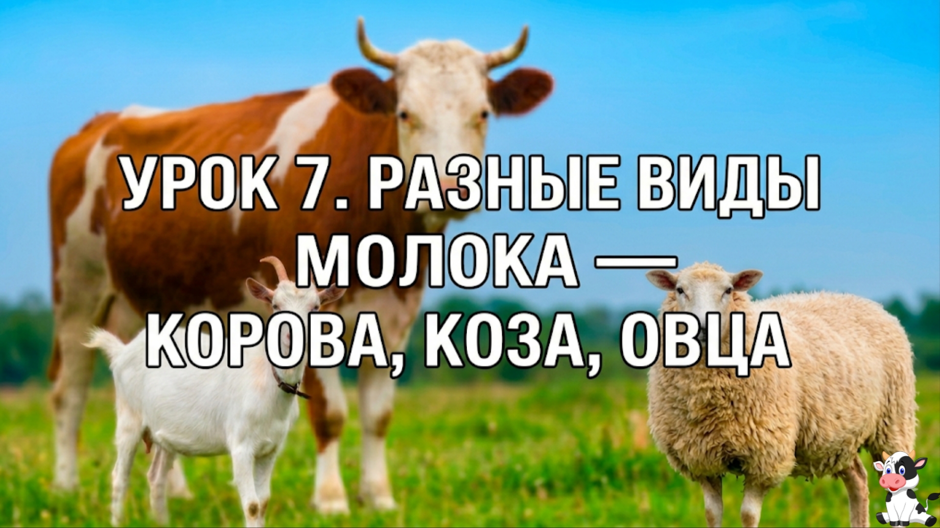 УРОК 7. РАЗНЫЕ ВИДЫ МОЛОКА — КОРОВА, КОЗА, ОВЦА