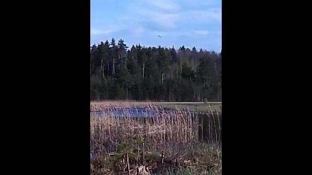 озеро 4 мая 2026