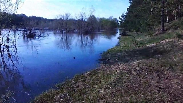 вдоль реки подьем воды