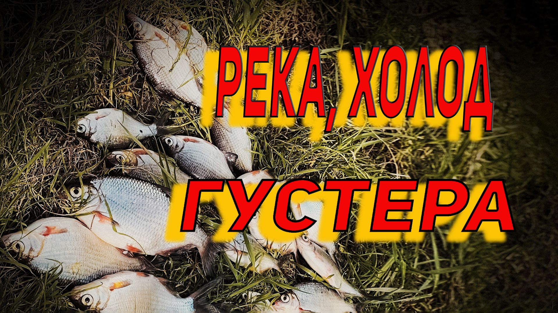 Холод, ветер, густера