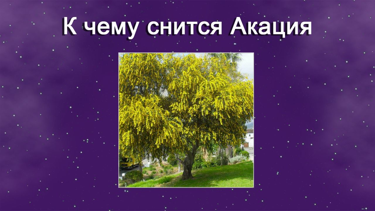 К чему снится Акация - толкование сна