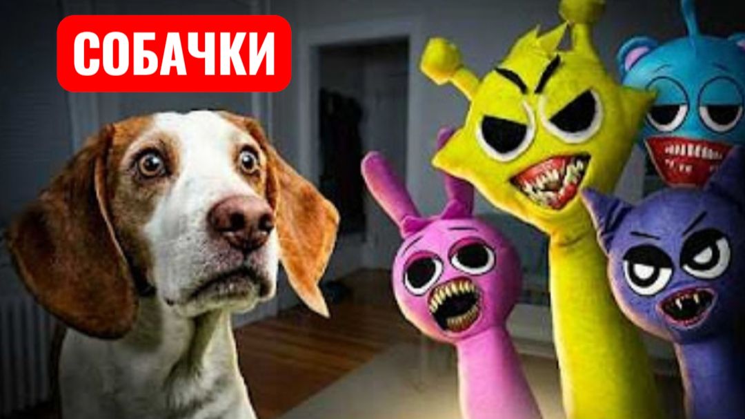 СОБАЧКИ СТРАШИЛКИ ПРОТИВ СПОНКИ В РЕАЛЬНОЙ ЖИЗНИ.