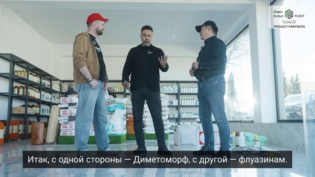 Картофельная отрасль Азербайджана: фитофтороз, колорадский жук и будущее фермерства