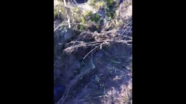 вдоль реки , луг и обратно вертикальное видео