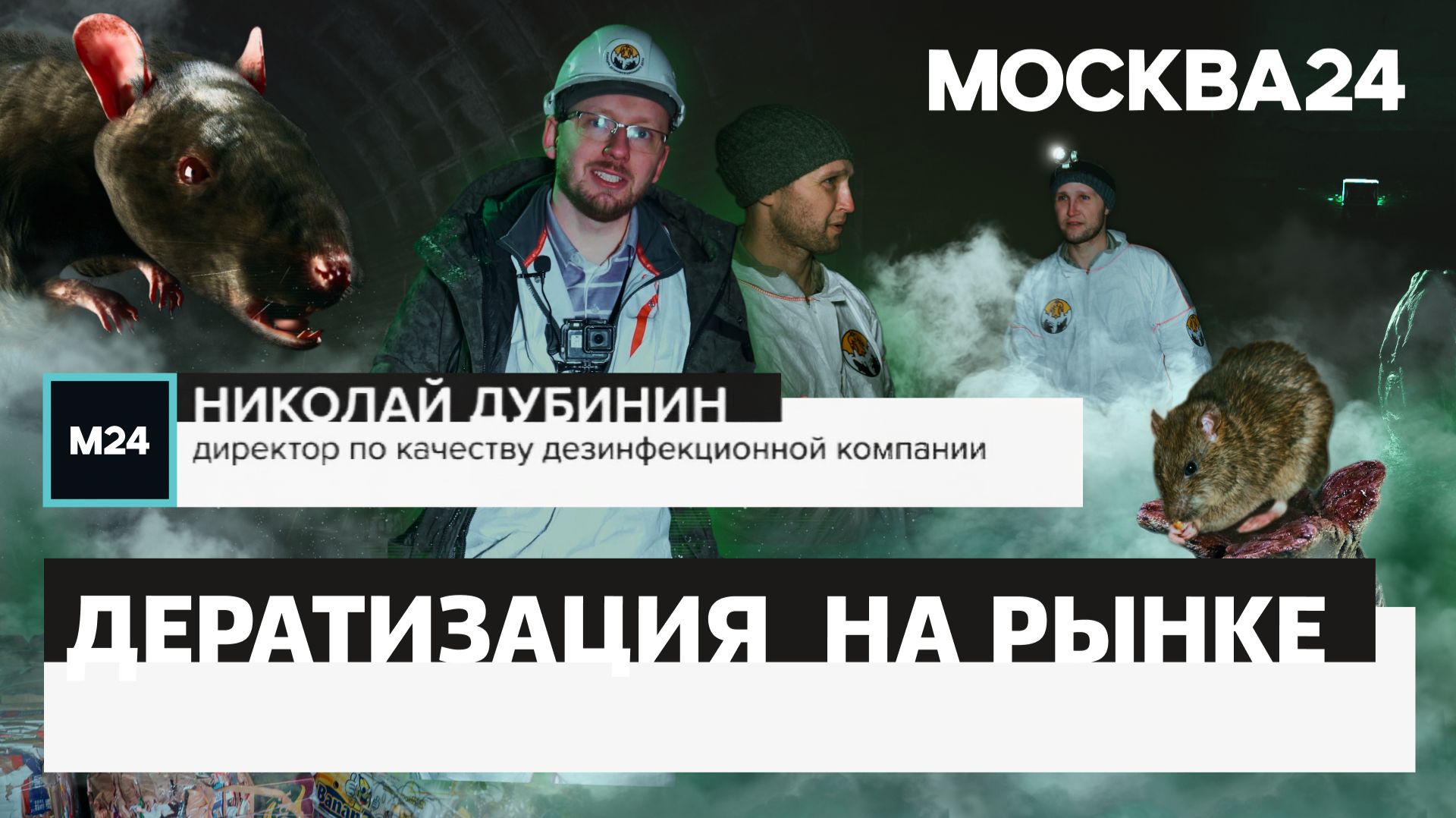 Дератизация на рынке. «Добролов» на канале «Москва 24» в борьбе с крысами
