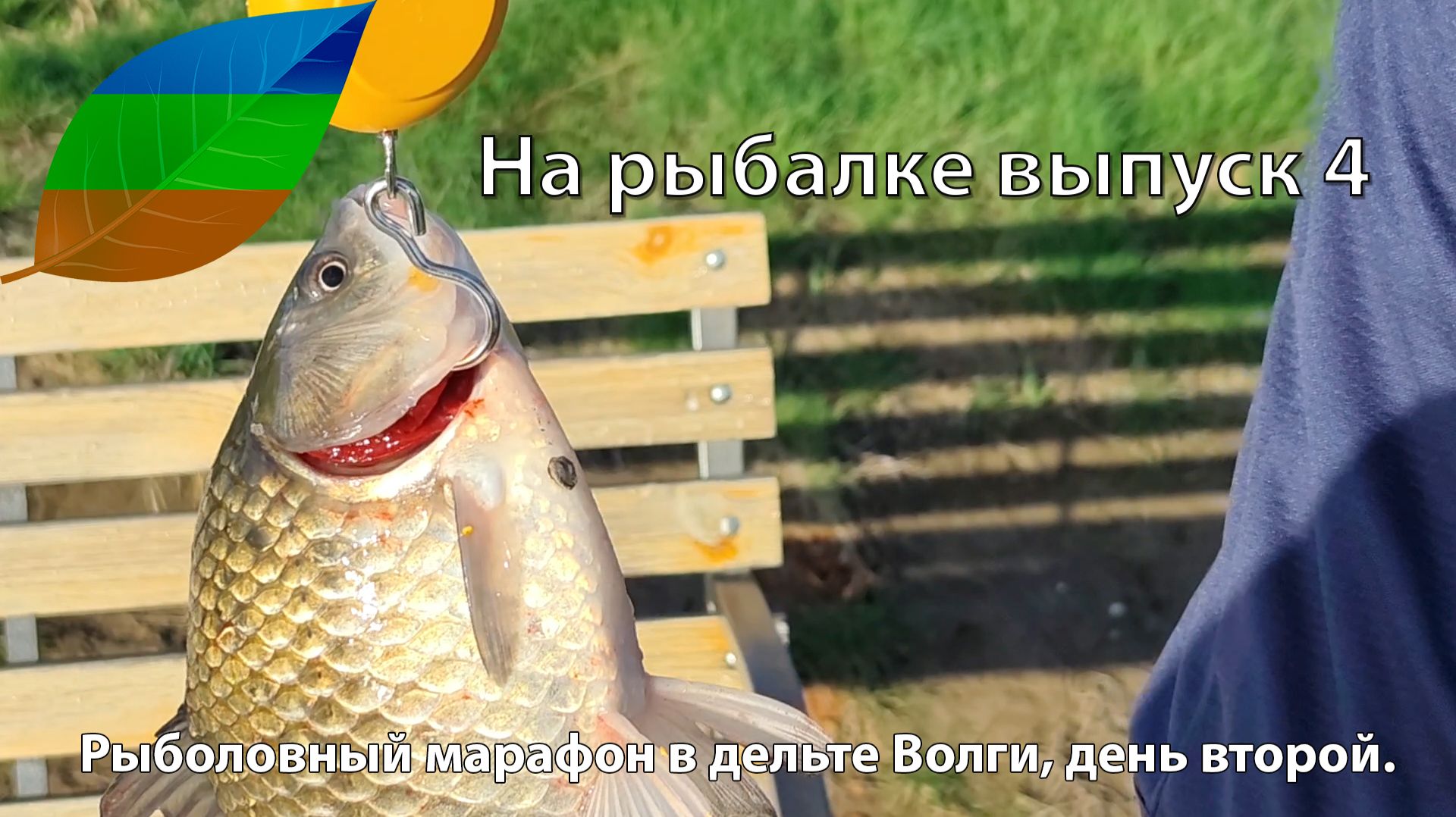 На рыбалке выпуск 4 Рыболовный марафон в дельте Волги день второй