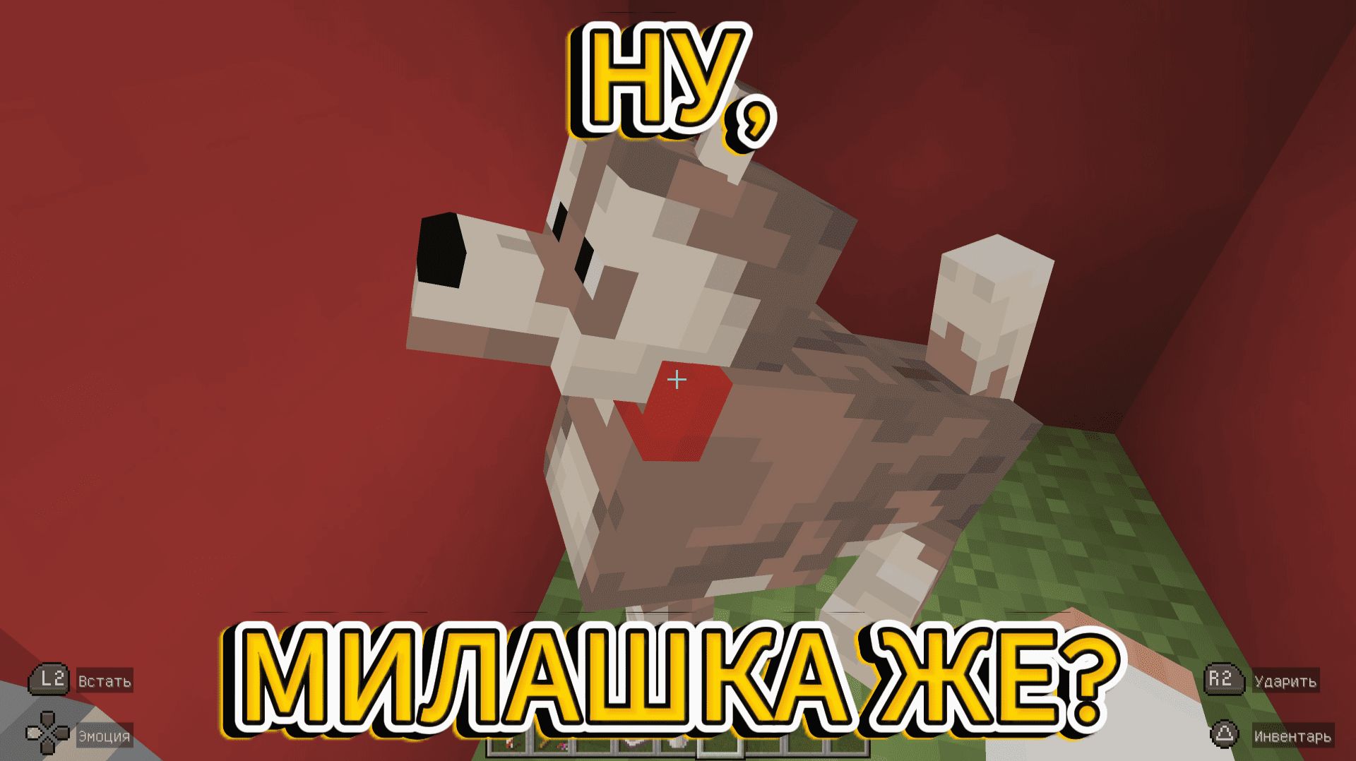 Милашки? Играем c Amira Cat в Minecraft (Майнкрафт)