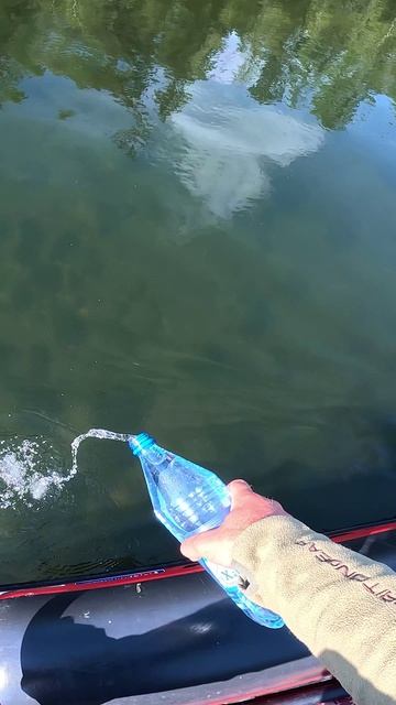 ЗАДОБРИЛИ ВОДЯНОГО