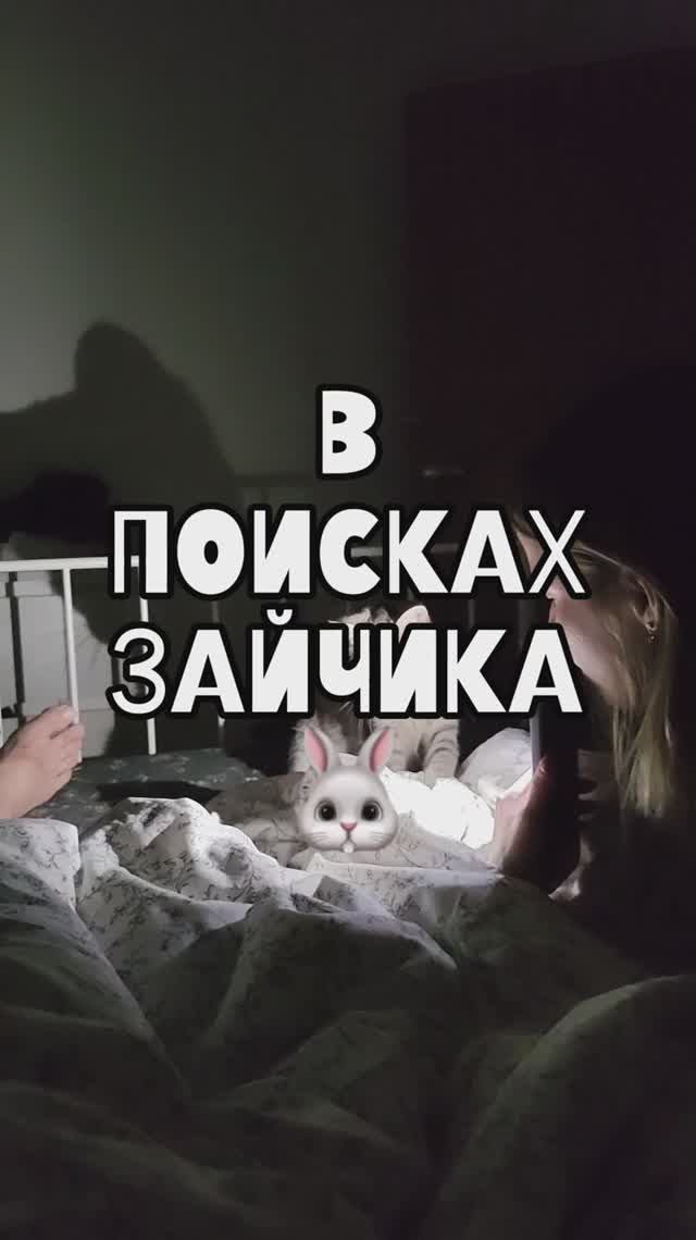 Сергей и Алиса | История двух сердец | Мисти | В поисках зайчика