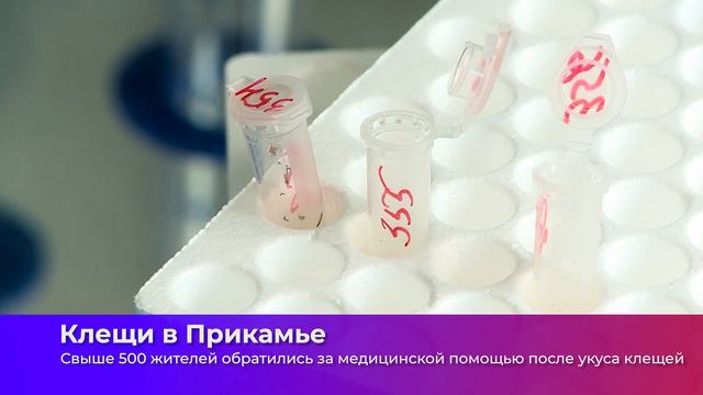 Коротко о главном_04.05.2026_СольТВ