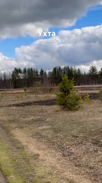 #Ухта …дорога на родник…Республика Коми…04.05.2026