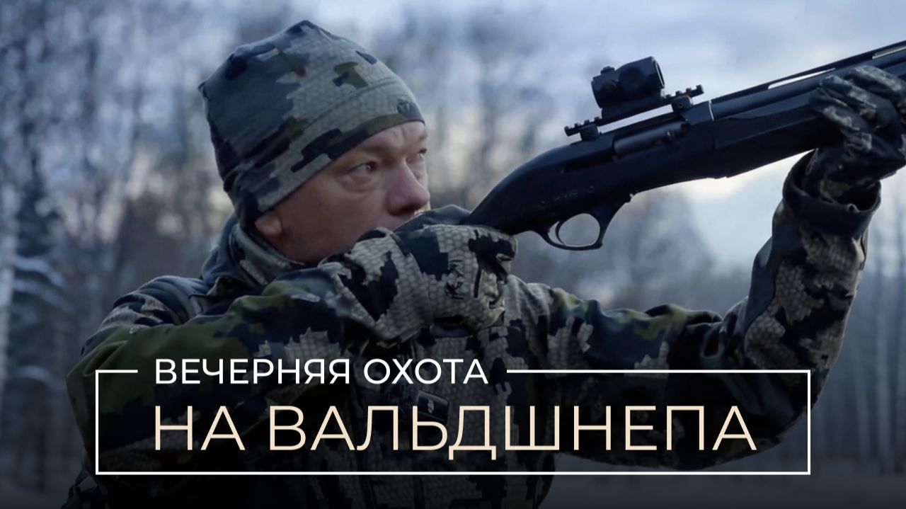 Вечерняя охота на вальдшнепа