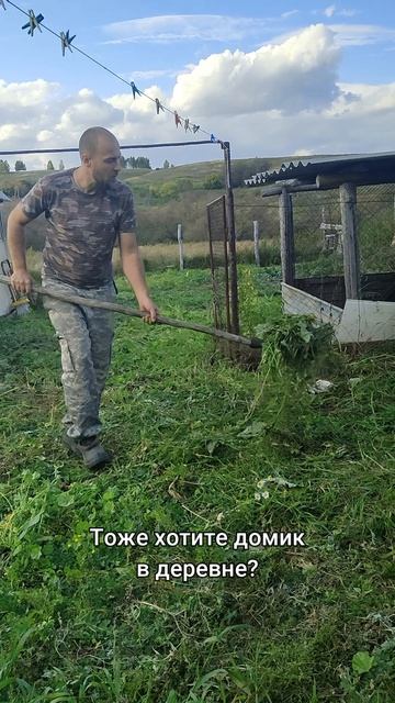 Своя латифундия с остеохондрозом
