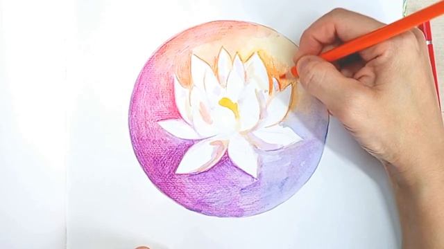 Кувшинки