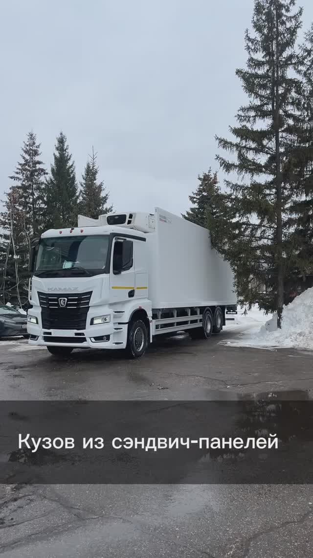 Рефрижератор КАМАЗ N330-1102-49 на шасси KAMAZ-65658