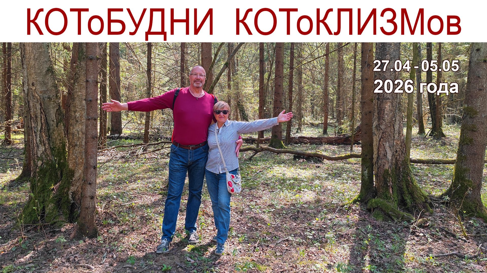 КОТоКЛИЗМЫ весны или  КОТоБУДНИ конца апреля - начала мая 2026 года