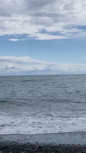 Дельфин в море 🌊02-05-2026 🐬