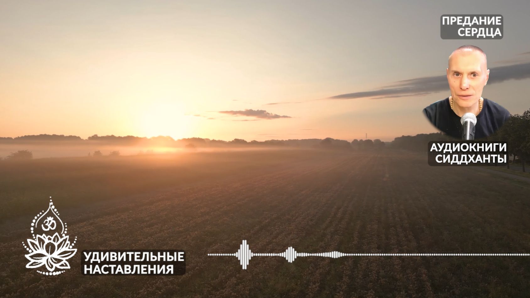 Удивительные наставления. Аудиокниги Сиддханты (Вячеслава Чернина)