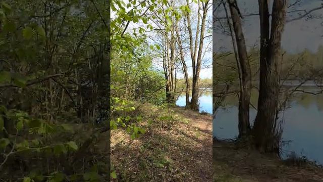 Красота Планеты