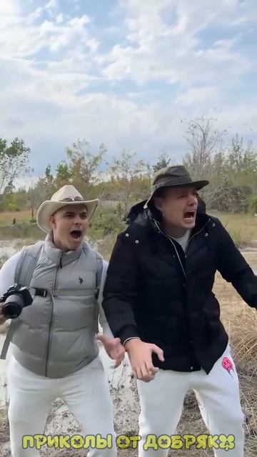 ПРИКОЛЫ ОТ ДОБРЯКА