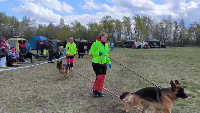 Группа производителя НИЛЕТТО из Белого Яра / КЧК ЧЕЛЯБИНСК 2 мая`26 И.Герлеман