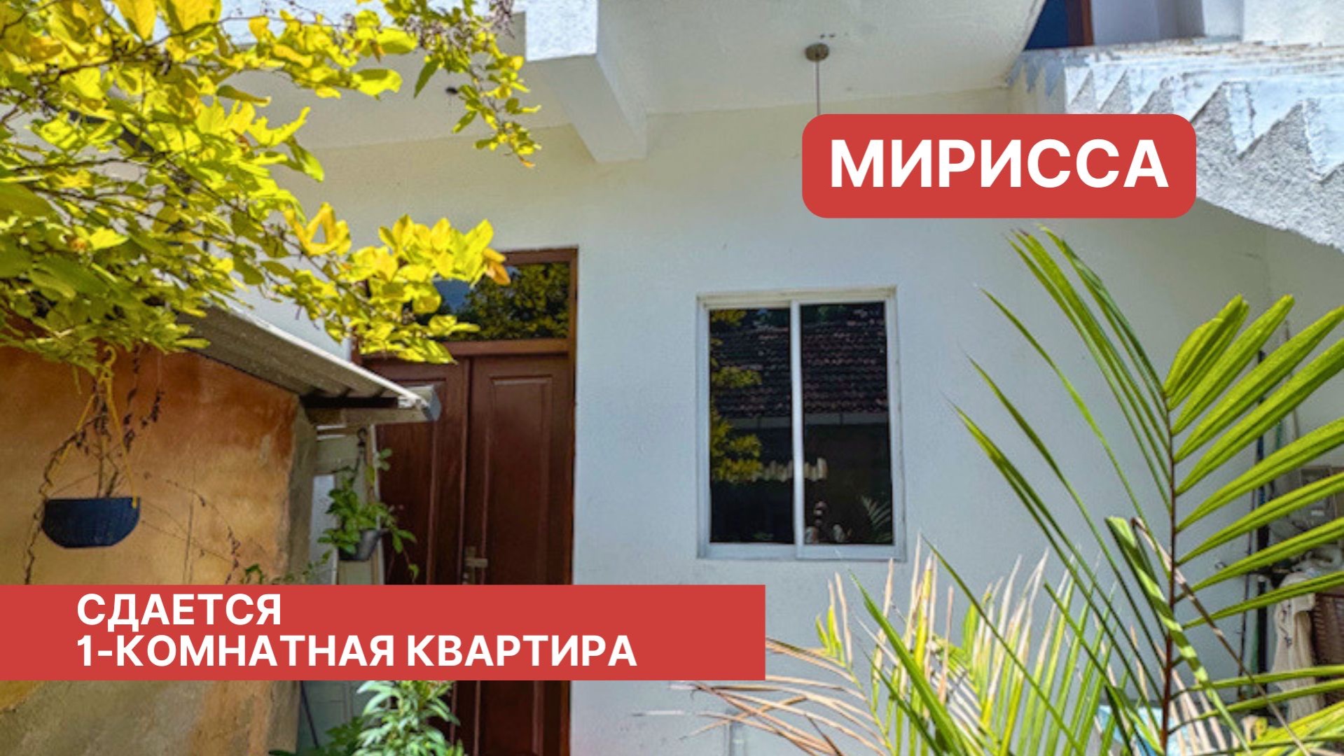 Сдается 1-комнатная квартира, Мирисса, Шри-Ланка