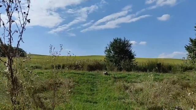 Наша южная дача.как же здесь тихо после Москвы.....