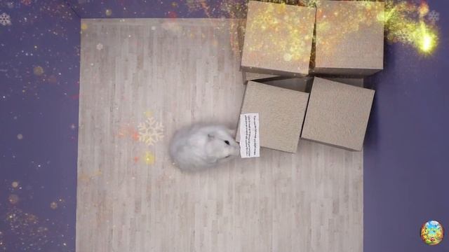 Новые приключения хомячка в саду лабиринта! 7